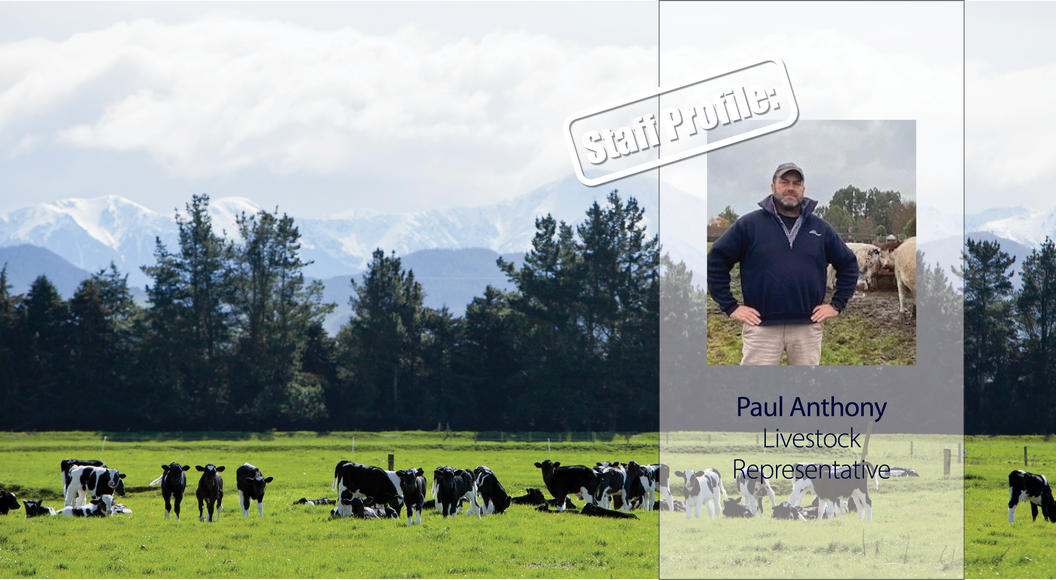 Helping Grow the Country | PGG Wrightson